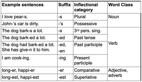 Morphology Flashcards Quizlet