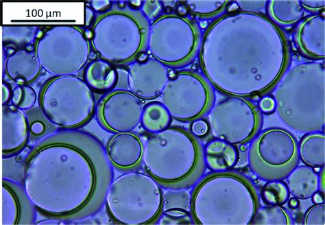Light Microscopic Image Of Janus Emulsion Gel Stabilized By A Complex