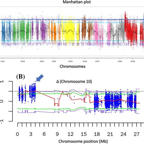 Detection Of Genetic Region Controlling Rind Hardness Rh Trait