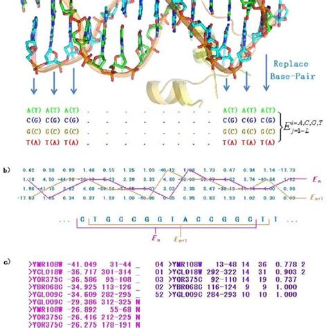 Structural Based Strategy For Predicting Transcription Factor Binding