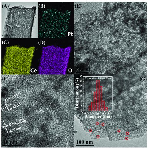 Morphology And Structure Of Ptegceo2 Air Ae Tem Images F