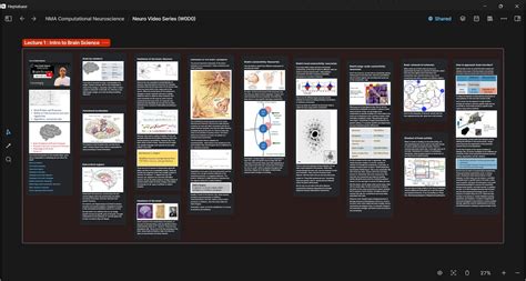 Computational Neuroscience And 100 Days Of Code By Iryna Koshelieva