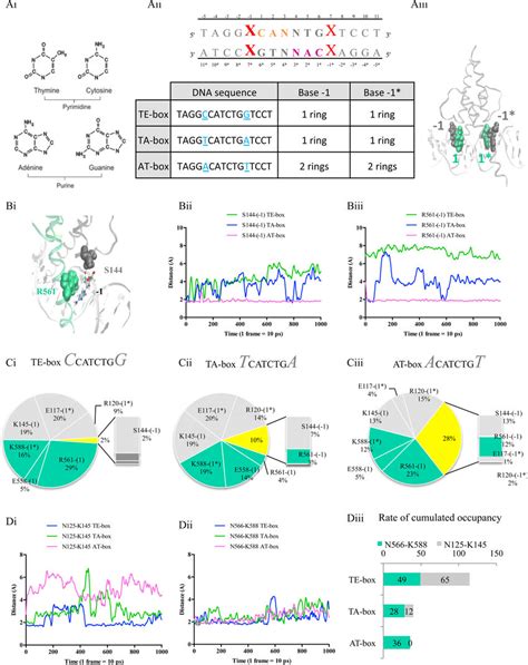 Predictive Functional Effect Of The Substitution Of The Proximal Download Scientific Diagram