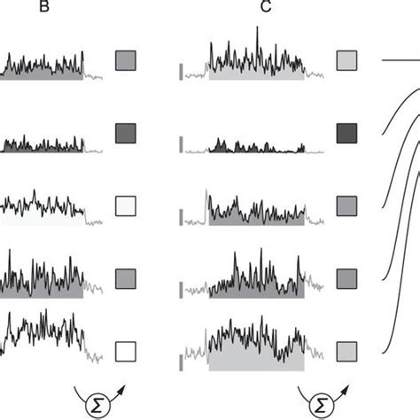Schematic Illustration Of How Dissimilarity Matrices Were Calculated