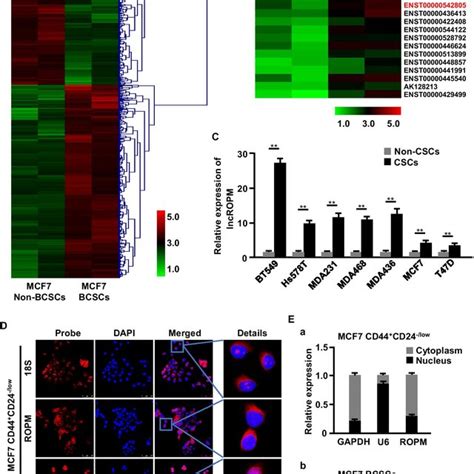Yong Teng Professor Associate Phd And Msc Emory University Ga Eu Department Of