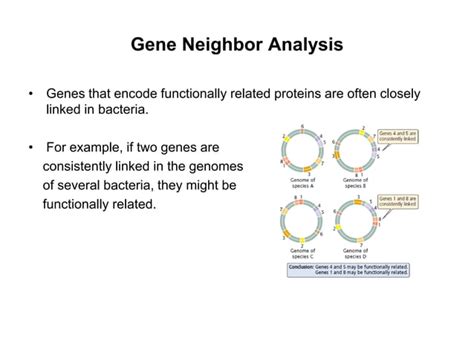 Structural Genomics Pdf Genetics Science
