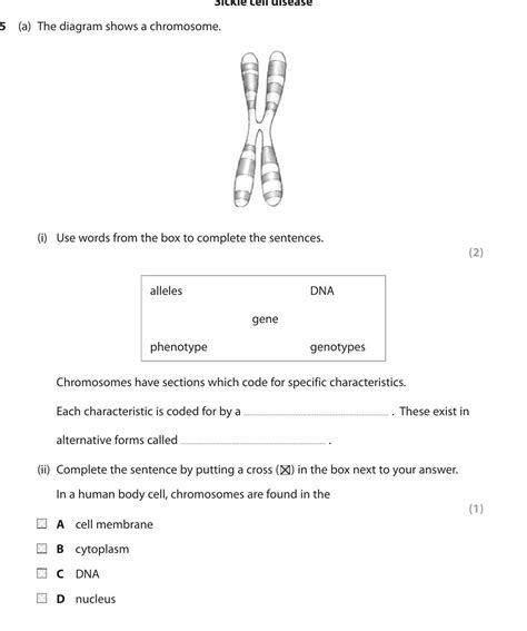 Gcse Edexcel Biology Sub Cellular Structures 5 A The Diagram Shows A