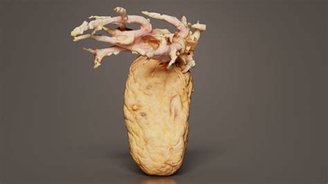 Shriveled Potato 1 3d Model By Polygonal Miniatures