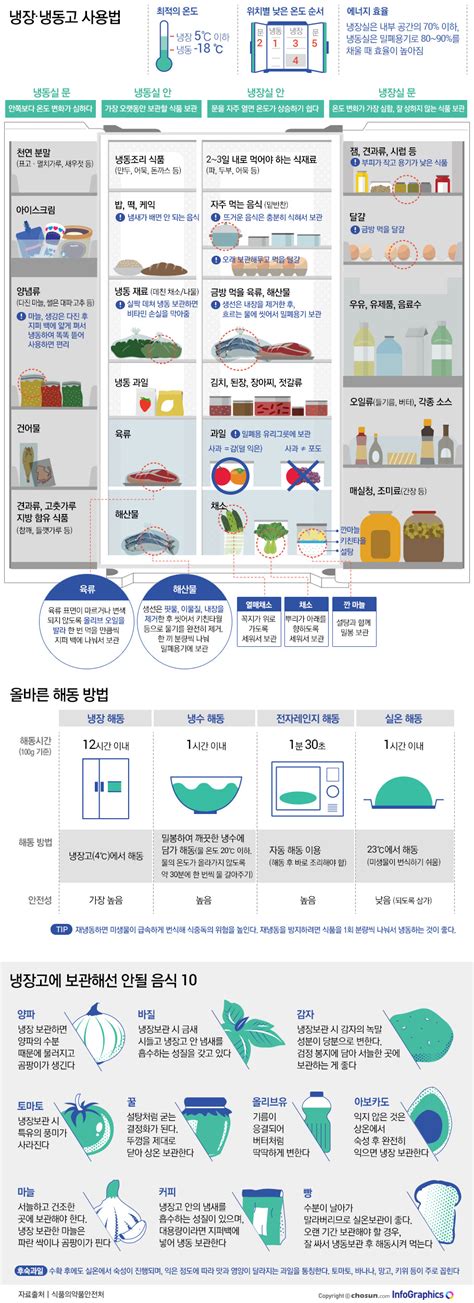 똑 소리 나는 냉장고 음식 보관 노하우 인스티즈 instiz 이슈 카테고리