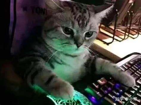 国内有哪些比较靠谱的gpu服务器变现平台？ 知乎