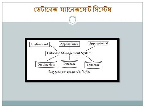 database overview in bangla pptx