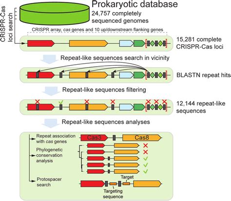 computational pipeline for analysis of crispr repeat like sequences
