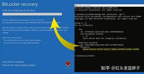 Bitlocker到底有什么用？被蓝屏锁定了如何恢复？ 知乎