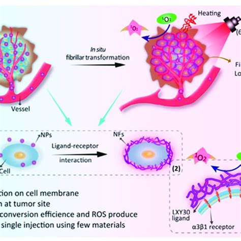 Schematic Diagram Of Nir Aiegens Structures And Their Applications For Download Scientific