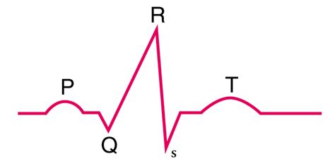 Ncert Solutions For Class 11 Biology Chapter 18 Download Free Pdf