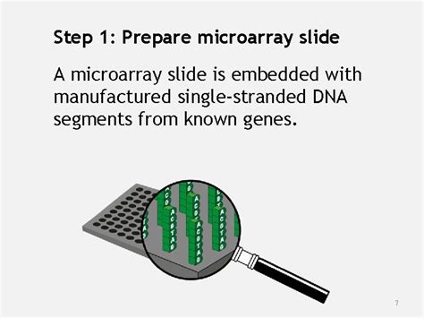 Introducing Microarray Gene Expression There Are Many Different