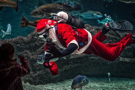 What Are The 12 Types Of Relative Clause In English Academic Marker