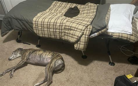 Kodiak Canvas Z Top Sleeping Bags Kodiak Canvas Z Top Sleeping Bags