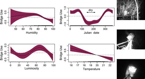 Smooth Terms Estimated Via Generalised Additive Models To Explain The