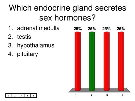 Ppt The Endocrine System Is Made Up Of Powerpoint Presentation Free