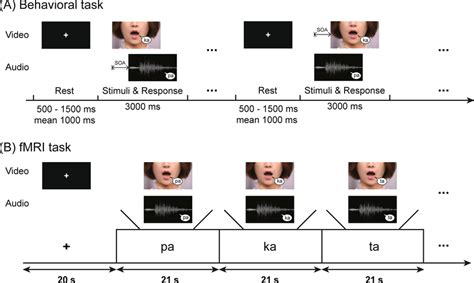 Behavioral And Fmri Experimental Paradigm A In Behavioral Task All Download Scientific