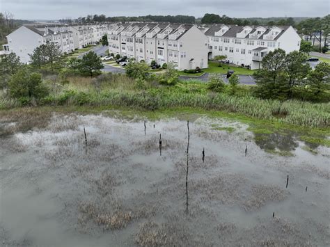 Driscoll Drones Driscoll Drones Added A New Photo