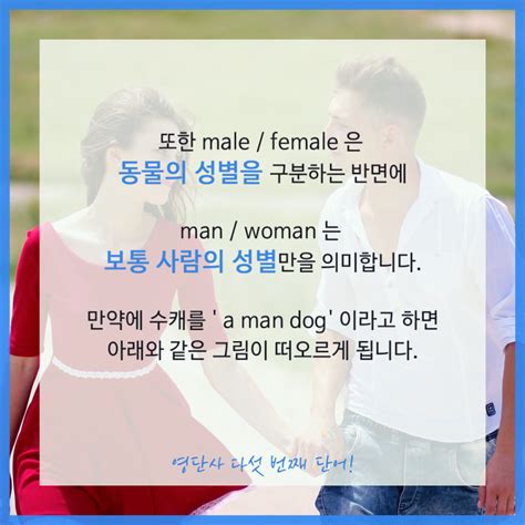 [영어 단어] Sex와 Gender의 차이 네이버 블로그