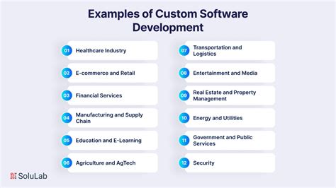 Top Examples Of Custom Software Development