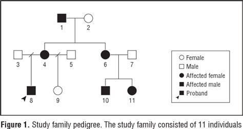 Figure 1 From Mutational Hot Spot Potential Of A Novel Base Pair