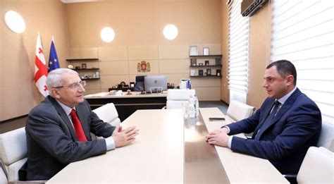 გიორგი ამილახვარმა ზოგადი განათლების საკითხებში კონსულტანტად გია