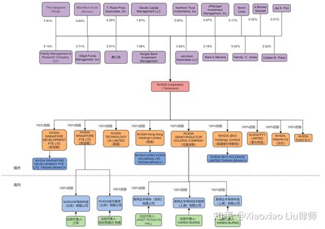 【硅谷宝典四十二章经（18）】英伟达（nvidia）全球股权架构剖析｜为什么有两个新加坡公司？为什么在毛里求斯设立公司？维京群岛的另一种打开方式？为什么不在香港公司下设立外商独资企业？ 知乎