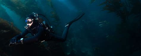 Avelo Mode Shearwater Research Inc