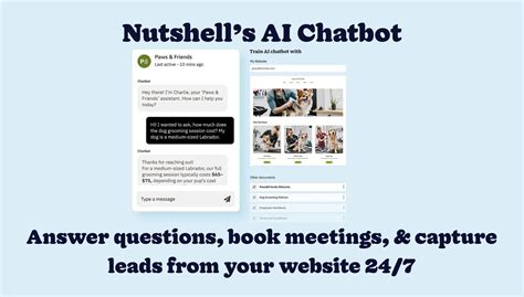 Free Ai Chatbot For Your Website Capture Leads And Book Meetings 247
