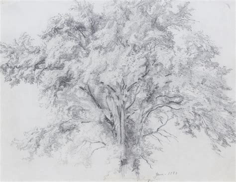 Tree Study 1853 William Vareika Fine Arts LTD