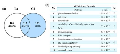 Transcriptome High Throughput Sequencing Analysis In Liver Tissues Of