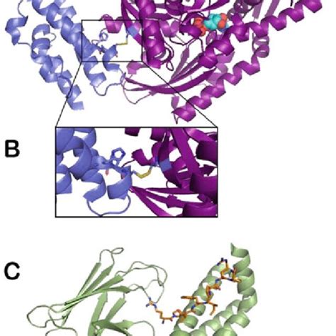 1 An Illustration Of The Differences Between A Ghkl Domain And The Download Scientific Diagram