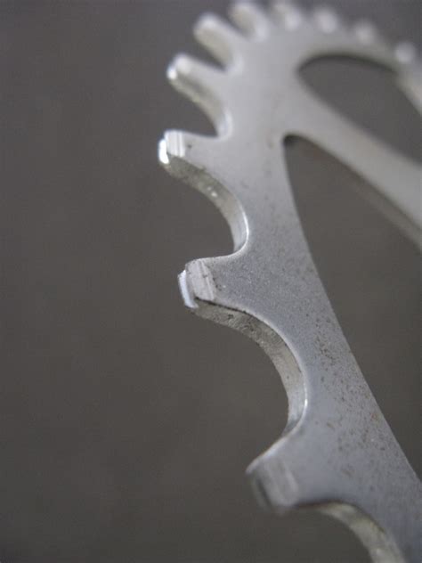 Regina Americacx A1 31 Tooth Cog Just The One Cog New Climb On