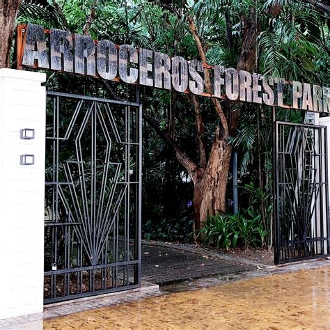 Arroceros Forest Park All You Should Know Before Going 2026 With