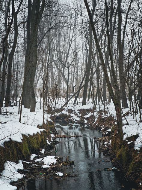 100000 Foto Cewekbugiltelanjang Terbaik · Unduh Gratis 100 · Foto