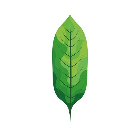 Green Ecology Leaf 3944229 Vector Art At Vecteezy