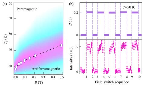 A The Paramagnetic To Antiferromagnetic Transition Under Various