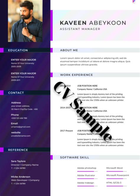 Pickzart 2021 Trending Cv Sample 01 Specially Designed By Pickzart With Attractive Colour