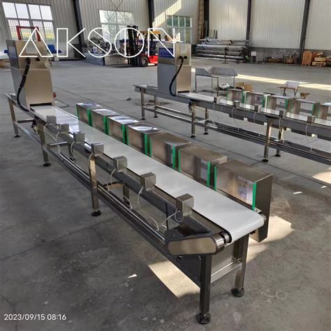 visual sorting for dimension belt weight sorting machine