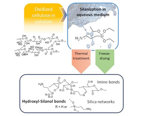 Molecules Free Full Text A Direct Silanization Protocol For