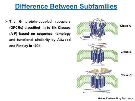 G Protein Coupled Receptorgpcr Pptx