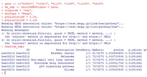 EnrichKEGG No Gene Can Be Mapped Issue YuLab SMU ClusterProfiler GitHub