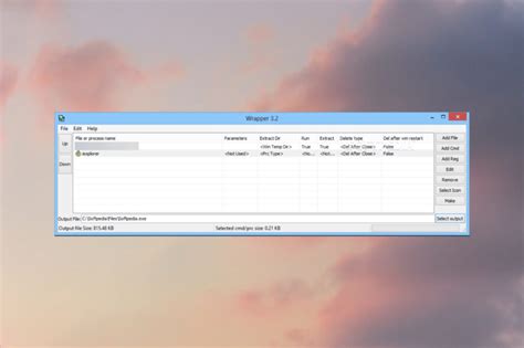 what is wrapper exe and what is it used for