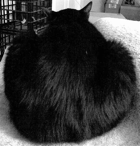 Ebook Giveaway 72 Hours By Clare London [contest Closed] Stumbling Over Chaos