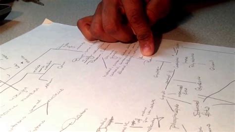 Unlock Cell Biology Master Concept Maps For Exam Success