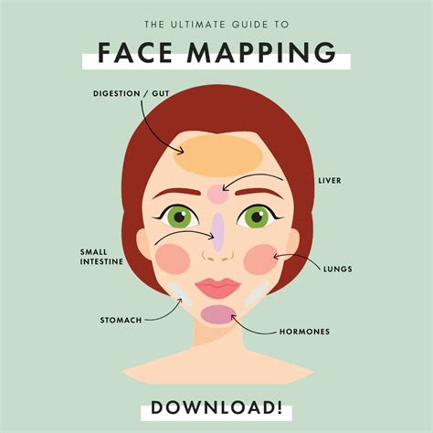 Understanding Acne Face Mapping SKIN BEAUTY